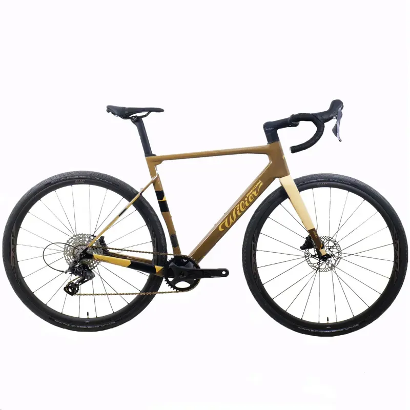 Wilier Rave SL Ekar GT Bike Sand